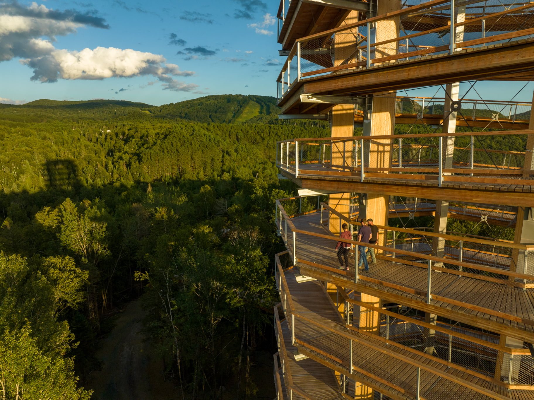 The Treetop Walk - Art Massif